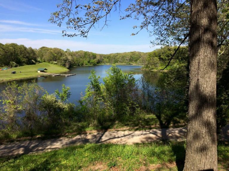 Boy Scout Lake | Great Rivers Land Trust